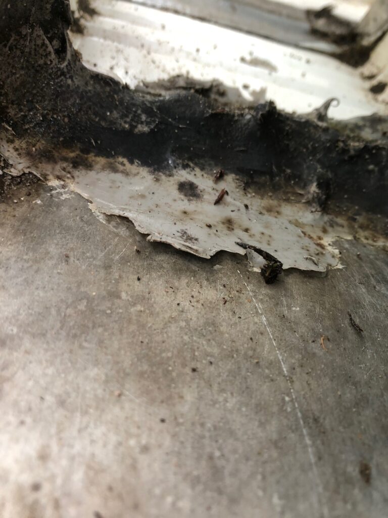 Case Studies - East Devon Installations