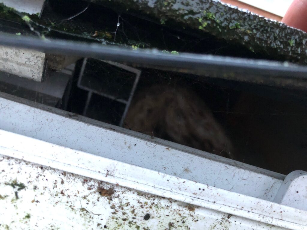 Case Studies - East Devon Installations